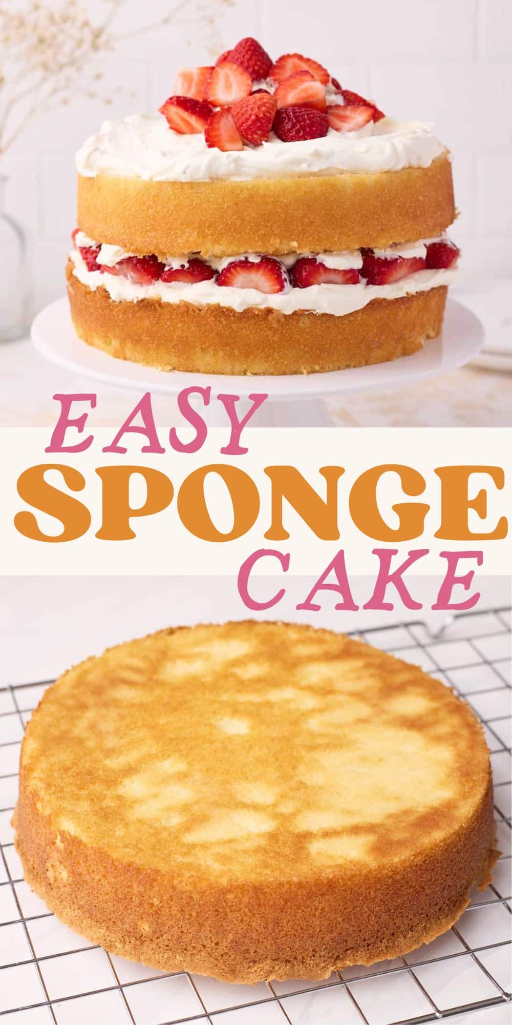 Easy Sponge Cake Recipe - Light and Fluffy