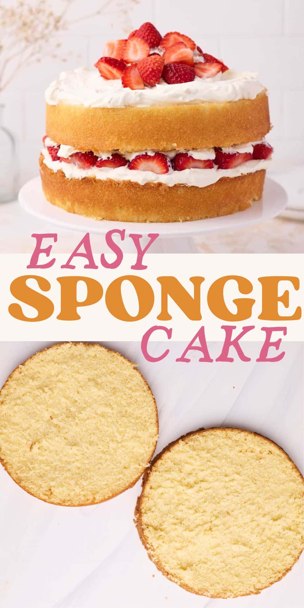 Easy Sponge Cake Recipe - Light and Fluffy